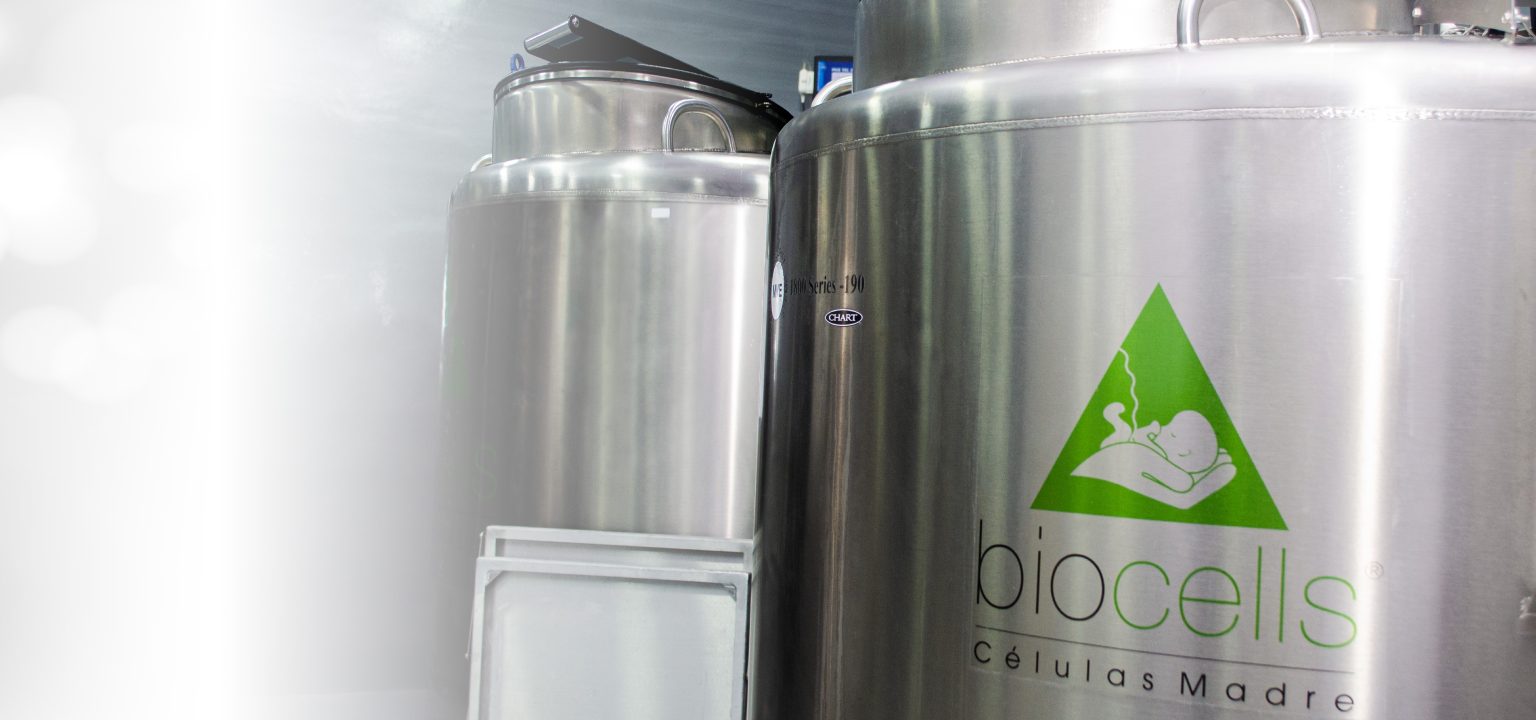 15 COSAS QUE NO SABIAS DE BIOCELLS – Biocells